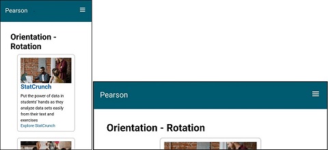Orientation | Developer's Reference Library | Accessible Assessments | Pearson